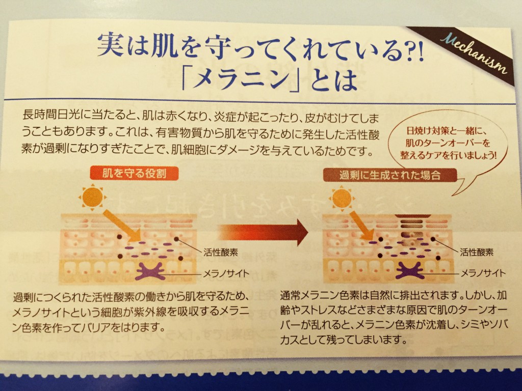 02 ｜ 6月 ｜ 2016 ｜ Prism Create